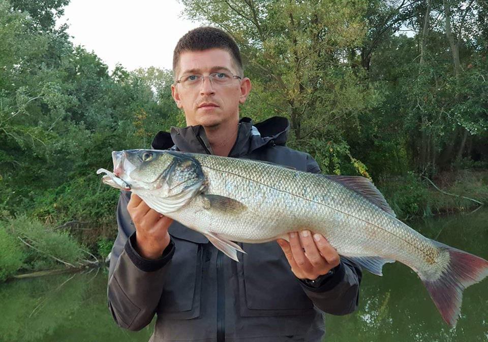 "Šetači" Aleksandra Kešanskog. | adriaticnature