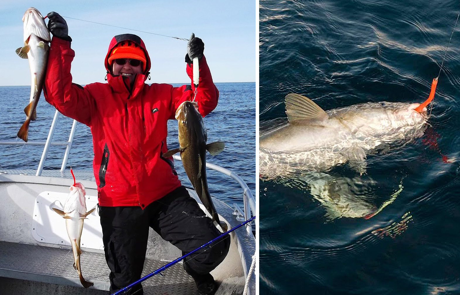 Ribolov u Norveškoj sa Mihailom Dišljukom. | adriaticnature